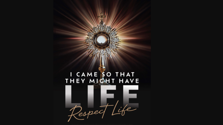 Respect Life Novena - St Anthony of Padua Catholic Church