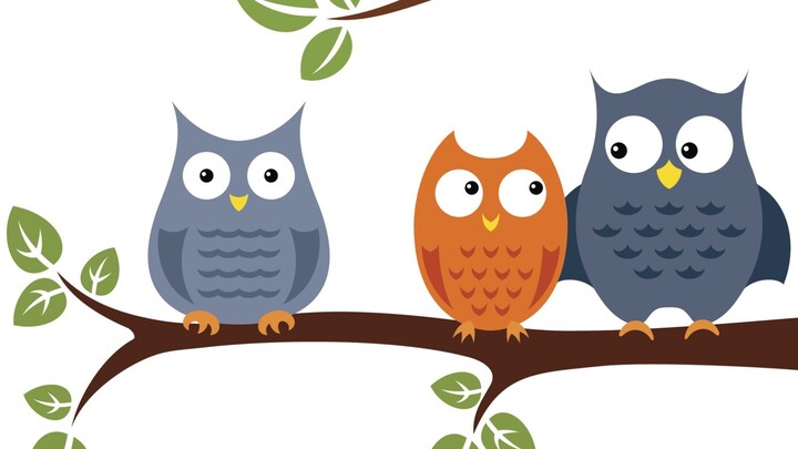 OWLs (Older, Wiser Lutherans) - Augustana Lutheran Church
