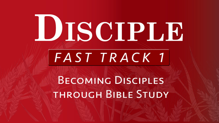 Disciple Fast Track 1 - Becoming Disciples through Bible Study ...