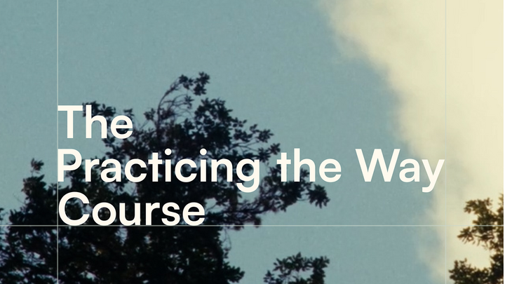 Practicing the Way - A Jesus Church