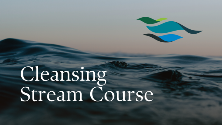 Women's ZOOM Cleansing Stream | Info/Registration Night + Course Details - Clearview Community ...