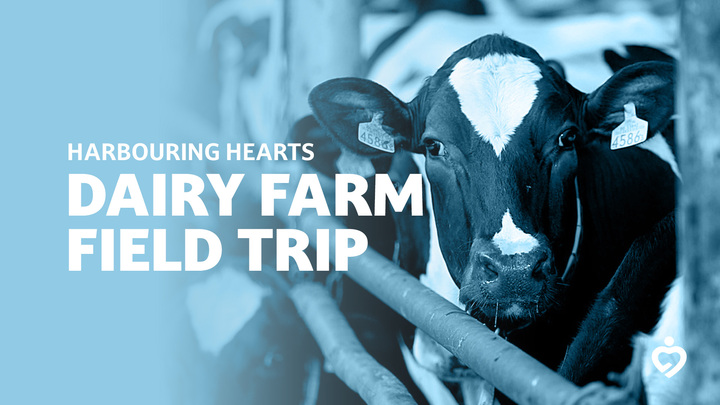 HH Dairy Farm Field Trip - The Harbour Church
