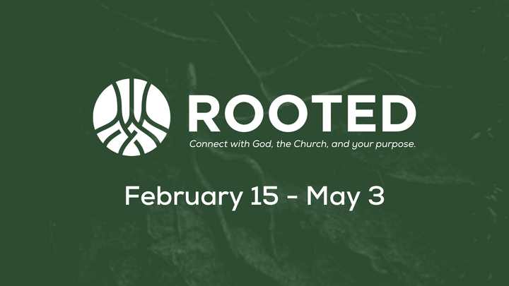 Rooted Group Participation - First Church of Christ